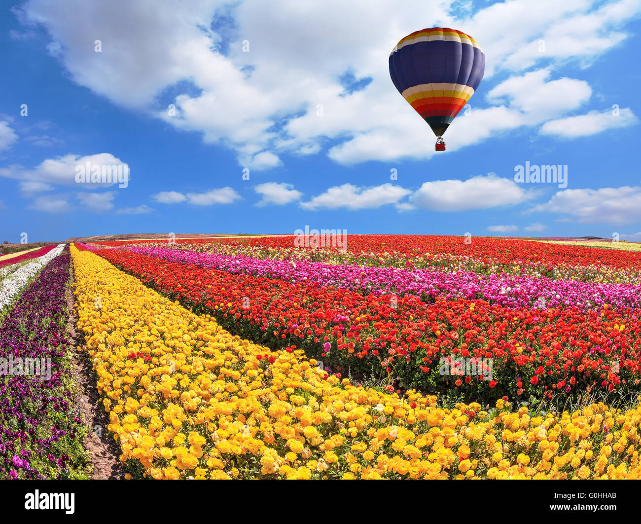 Flying big balloon Stock Photo - Alamy