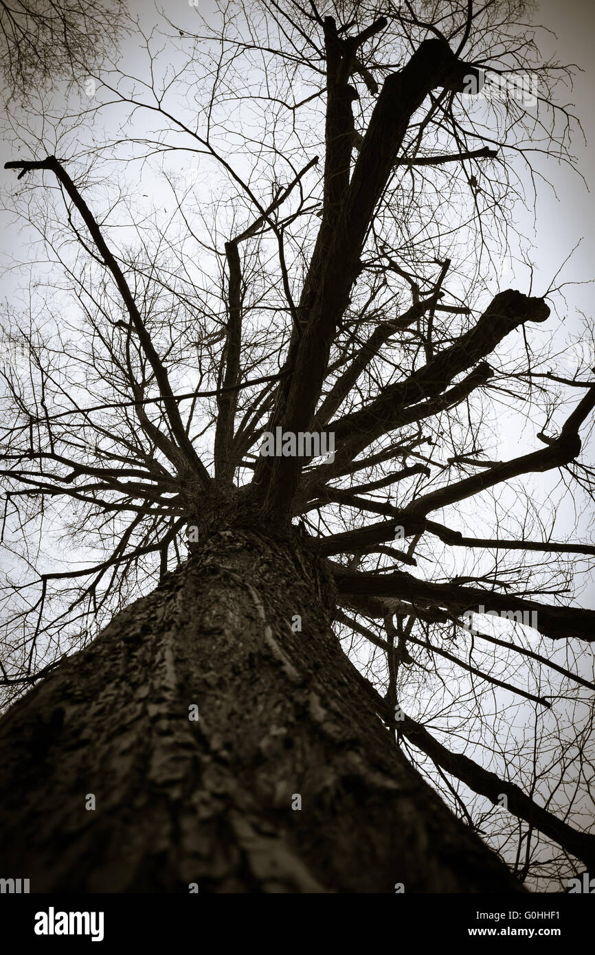 Darkness environment hi-res stock photography and images - Alamy