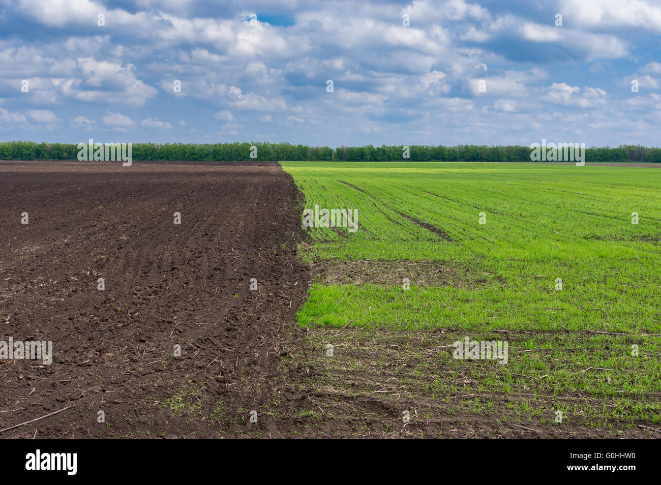 Agricultural landscape with ploughed earth next to field with crops at ...