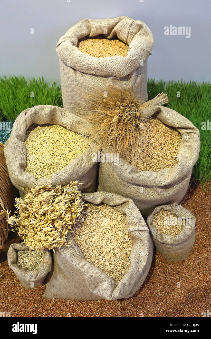 Sacks grains hi-res stock photography and images - Alamy