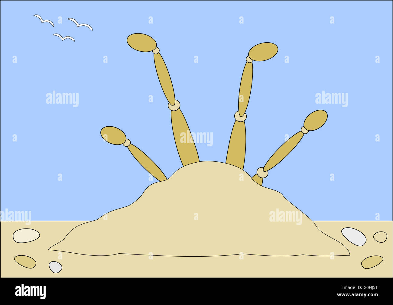 Head stuck in the sand Stock Photo - Alamy Head stuck in the sand Stock Photo - Alamy