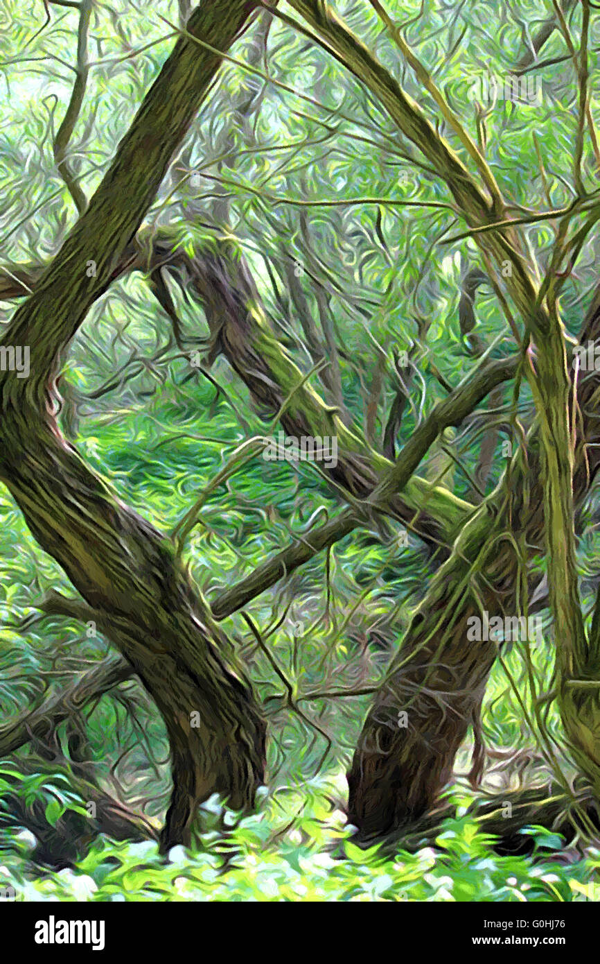 Wood forms hi-res stock photography and images - Alamy