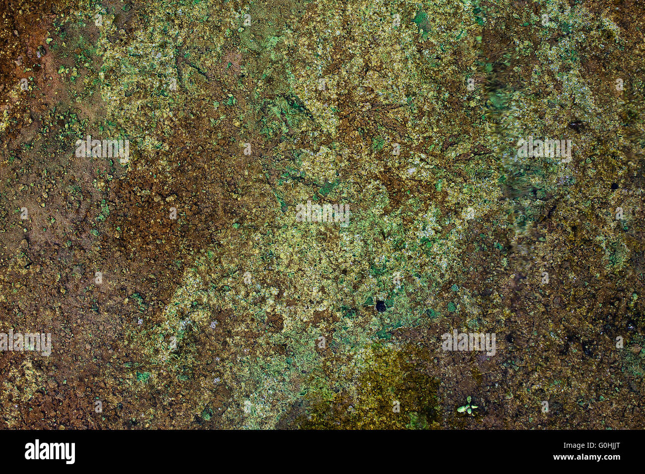 River Bottom Texture