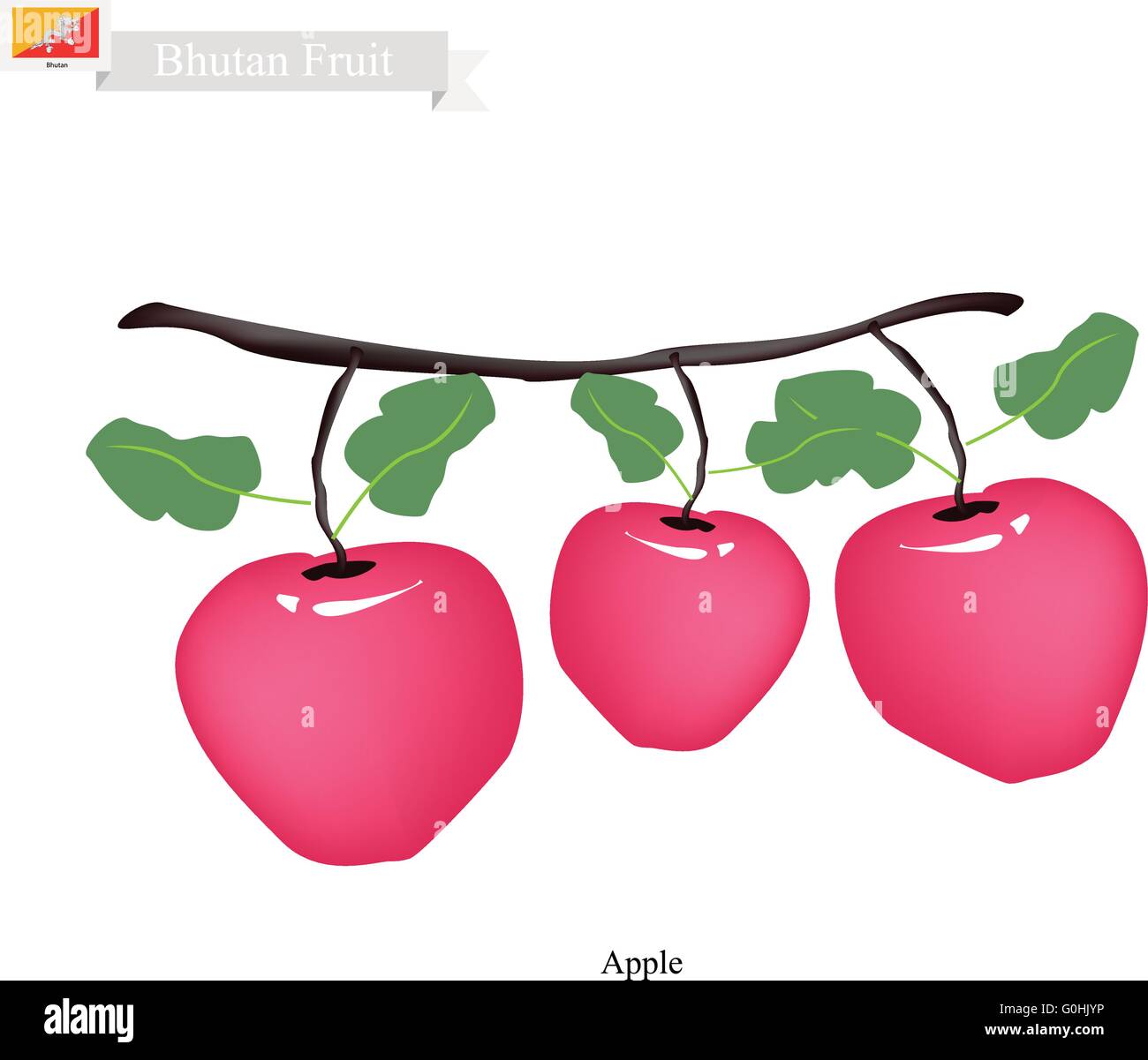 Bhutan Fruit, Illustration of Apple. One of The Most Popular Fruits of ...