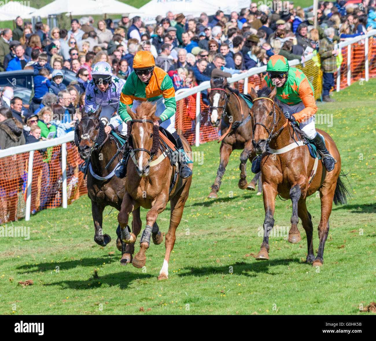 Four Horses Stock Photos & Four Horses Stock Images - Alamy