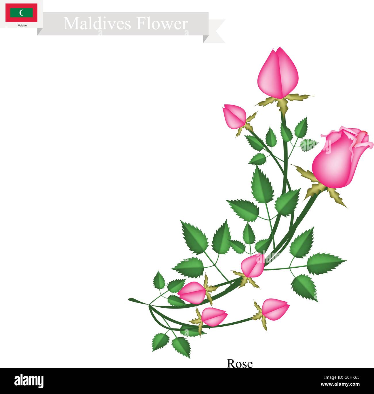 Boduberu Clipart Flowers