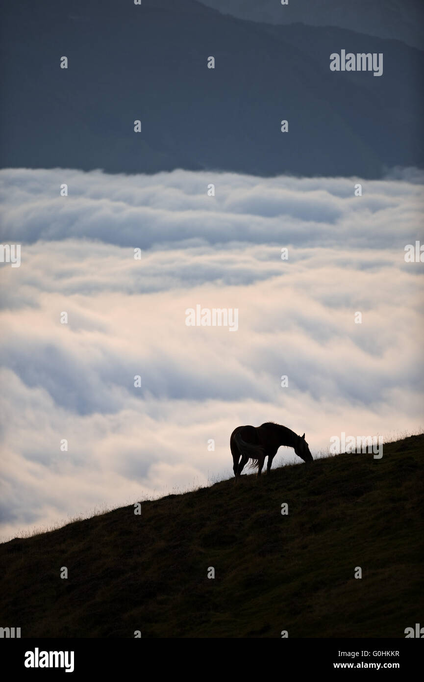 Pyrénées aquitaine mountains hi-res stock photography and images - Alamy