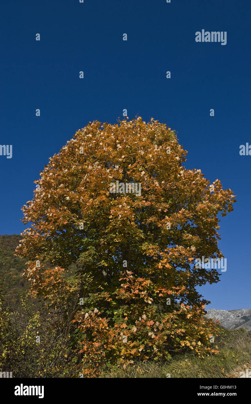 Gole del velino hi-res stock photography and images - Alamy