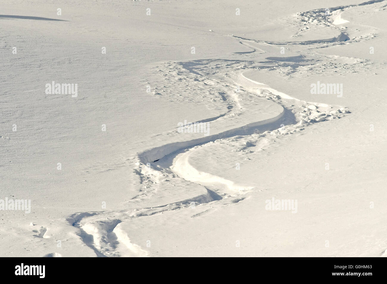 Ski track in deep powder Stock Photo - Alamy