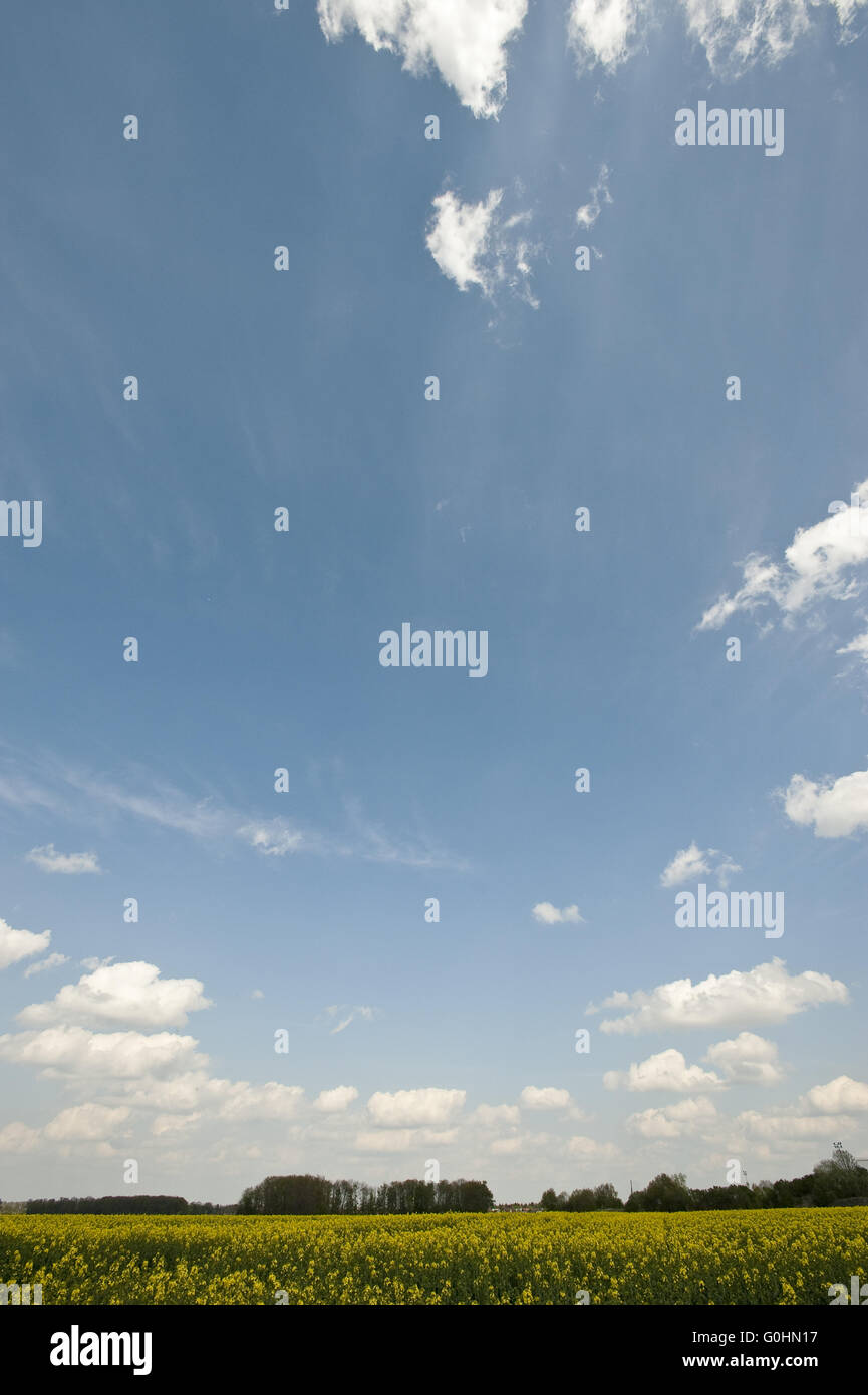 Cloudy Sky withe rpefield Stock Photo - Alamy