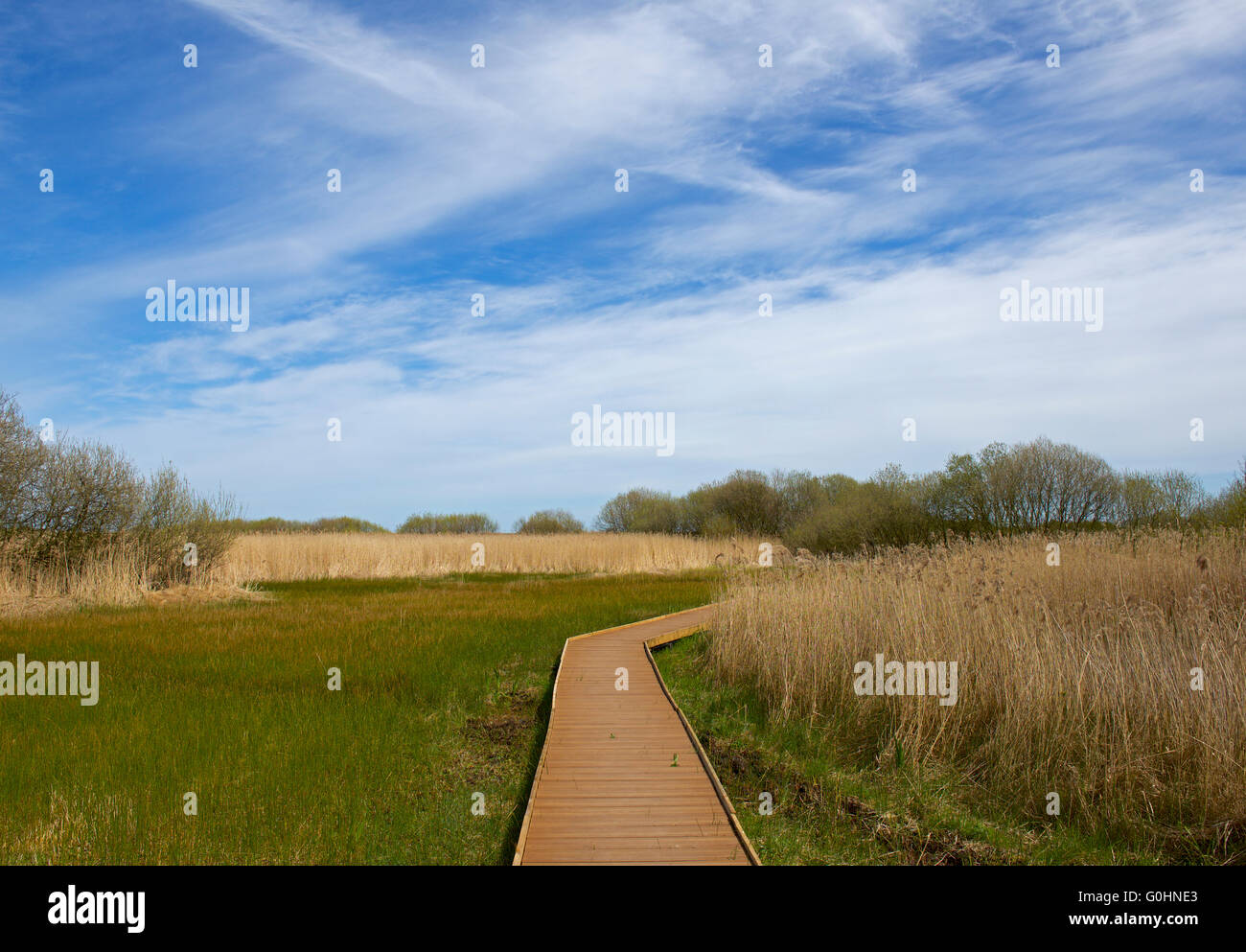 Titchwell Marsh, an RSPG nature reserve on the North Norfolk coast ...