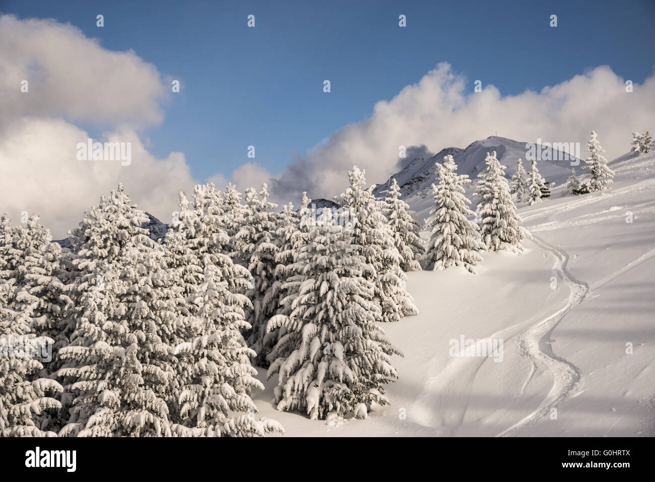 Snow covered landscape, Venet Stock Photo - Alamy
