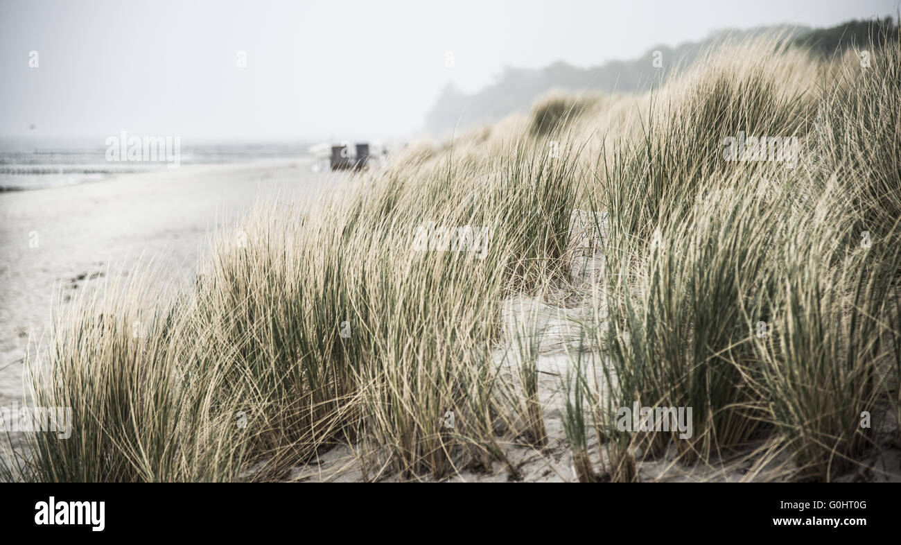 Baltic waters hi-res stock photography and images - Alamy