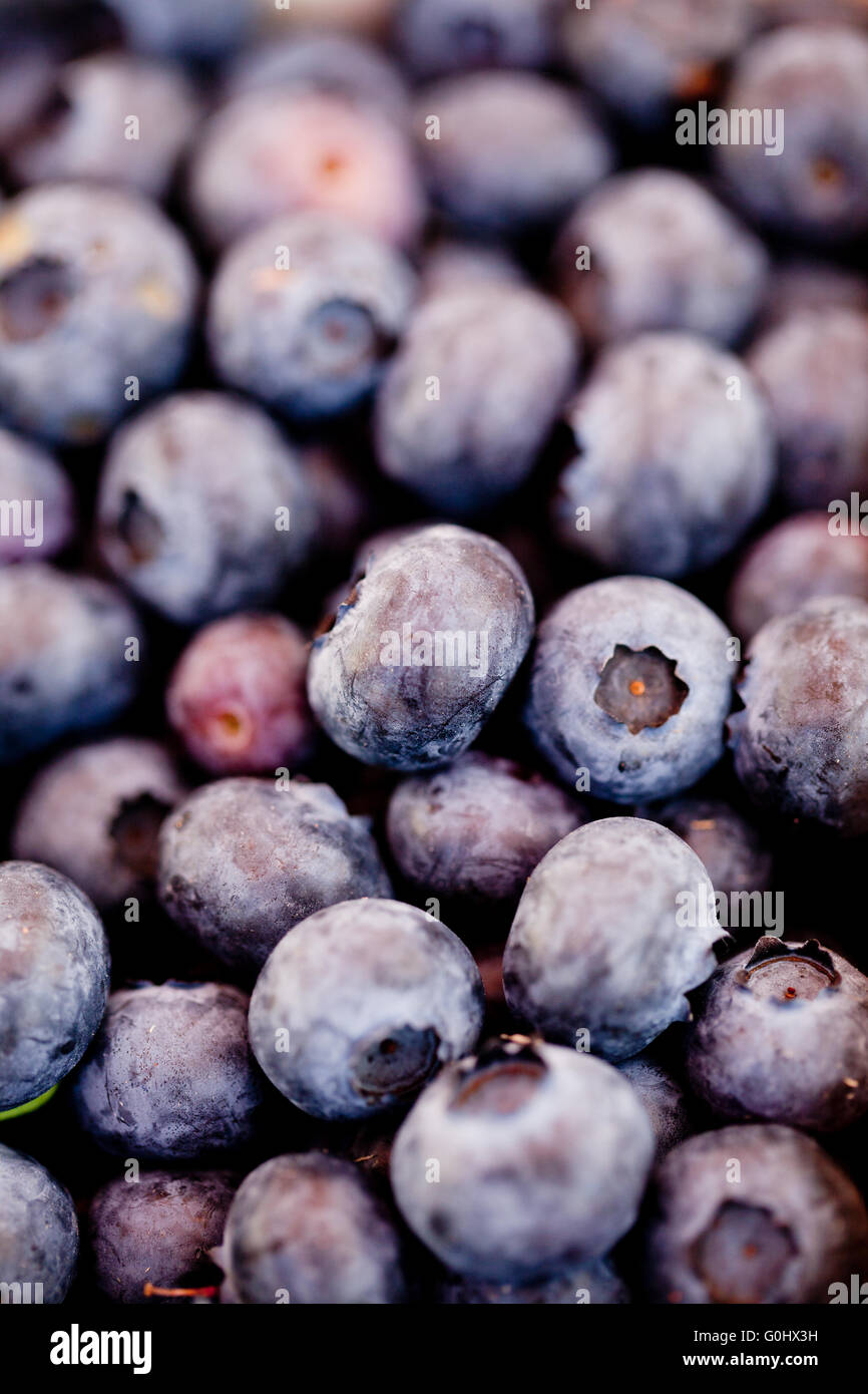 Blueberries natural hi-res stock photography and images - Alamy