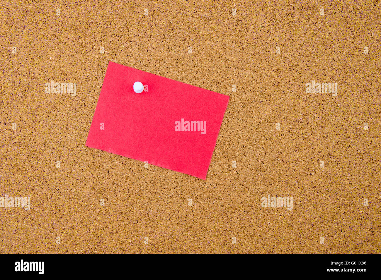 Blank red paper note pinned on cork board with white thumbtack, copy ...