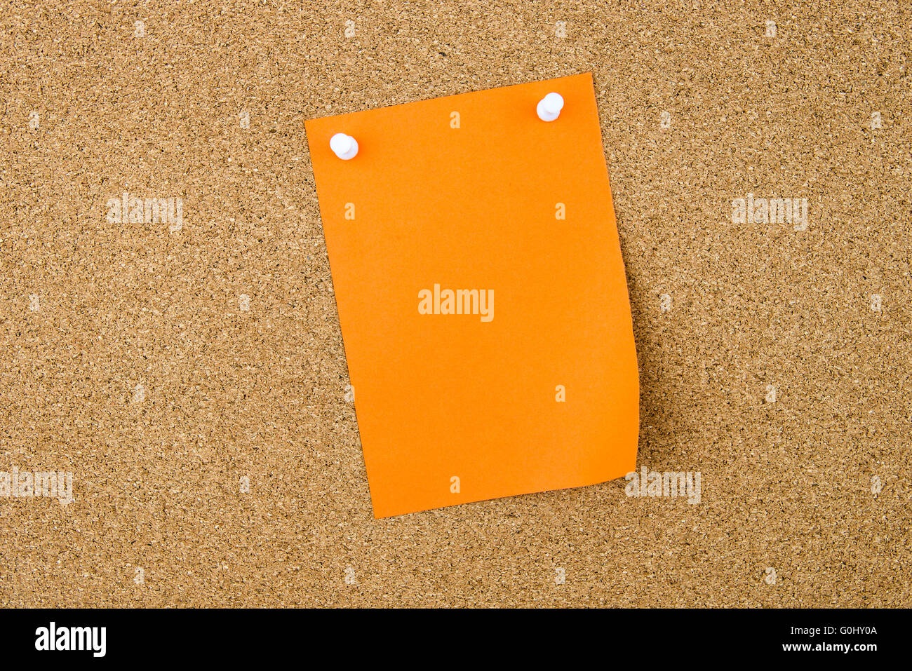 Blank orange paper note pinned on cork board with white thumbtacks ...