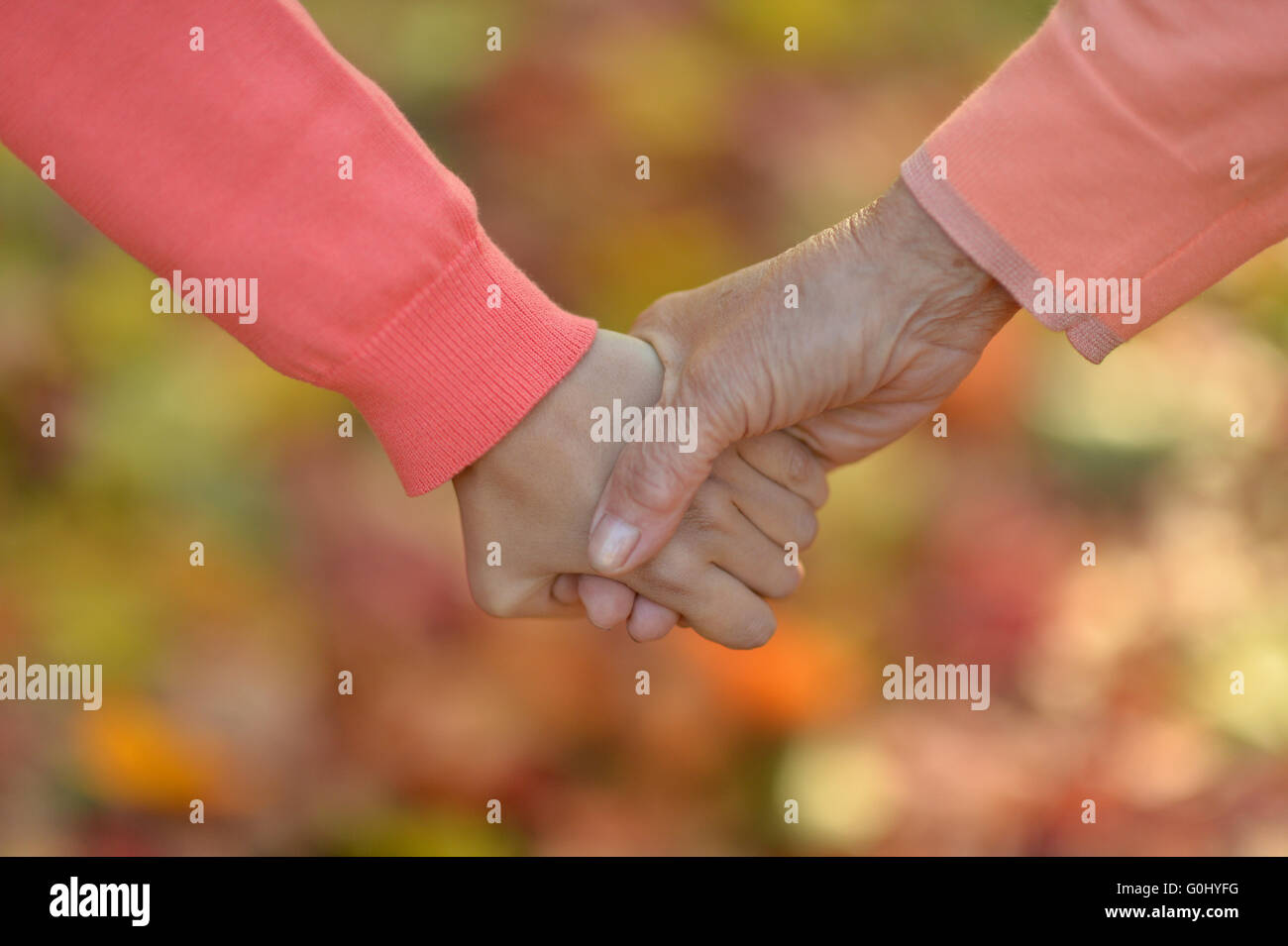 Hands together against leaves Stock Photo - Alamy