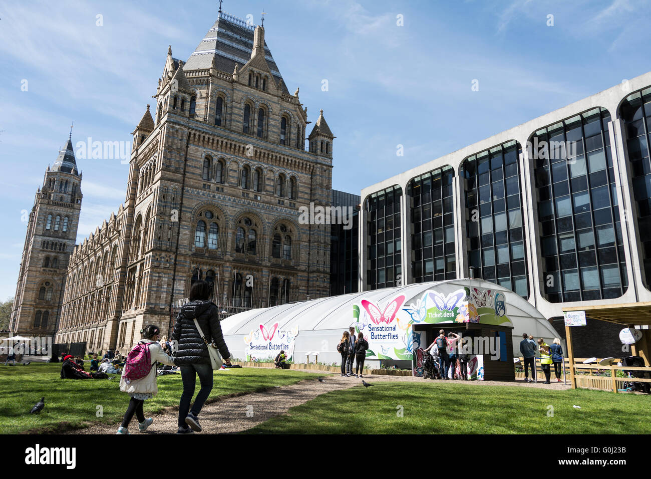 Exhibition of butterflies hi-res stock photography and images - Alamy