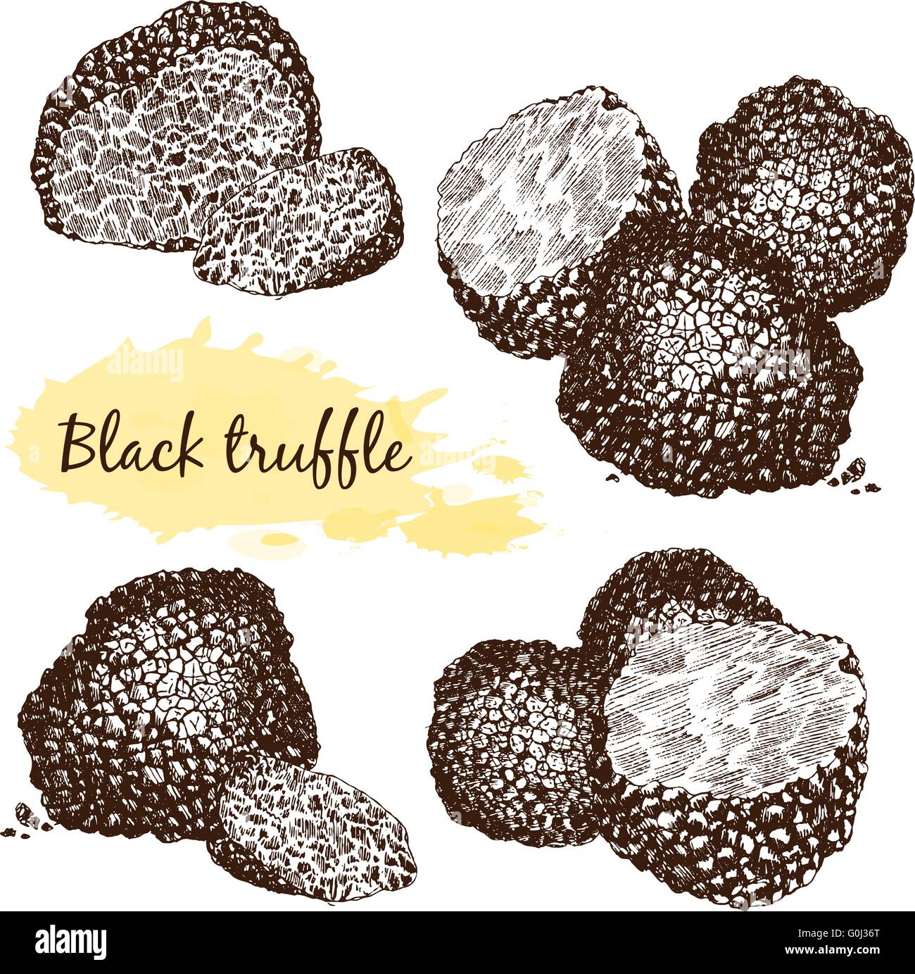 Alba group Stock Vector Images - Alamy