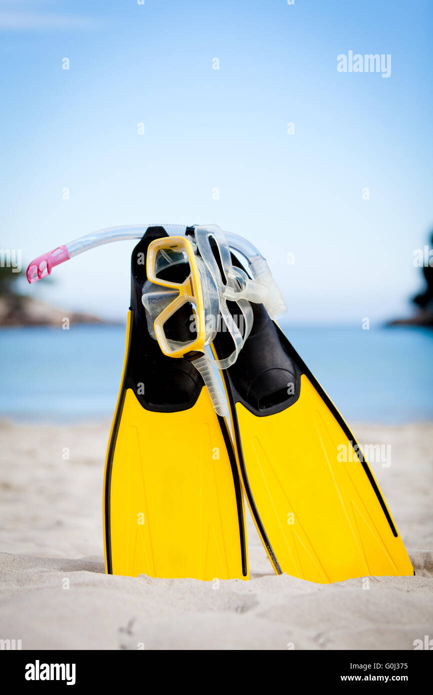 Yellow scuba fins hi-res stock photography and images - Alamy