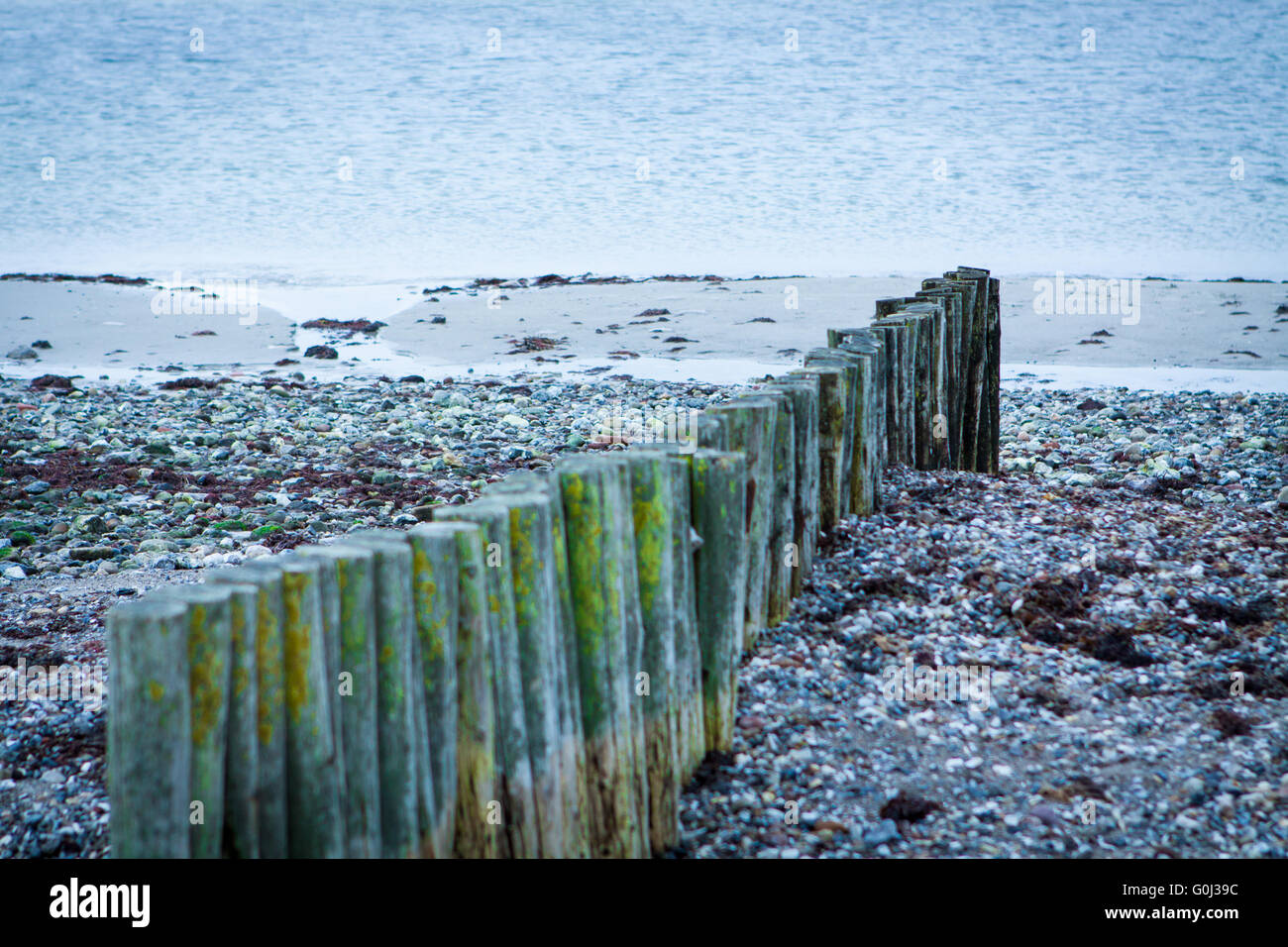 baltic sea background evening wooden wave breaker beach Stock Photo - Alamy