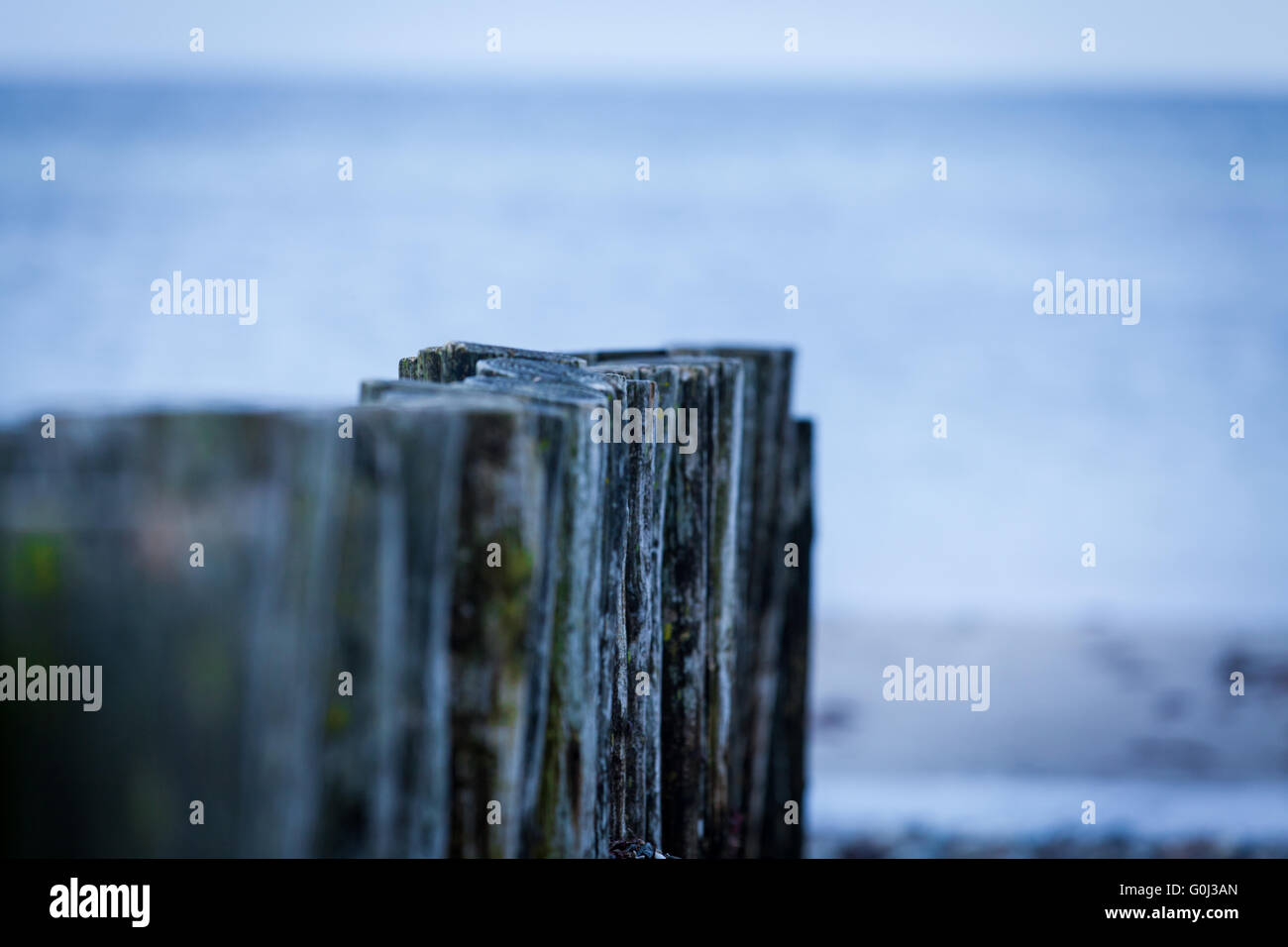 baltic sea background evening wooden wave breaker beach Stock Photo - Alamy