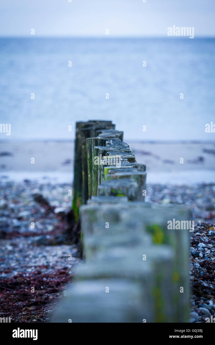 baltic sea background evening wooden wave breaker beach Stock Photo - Alamy
