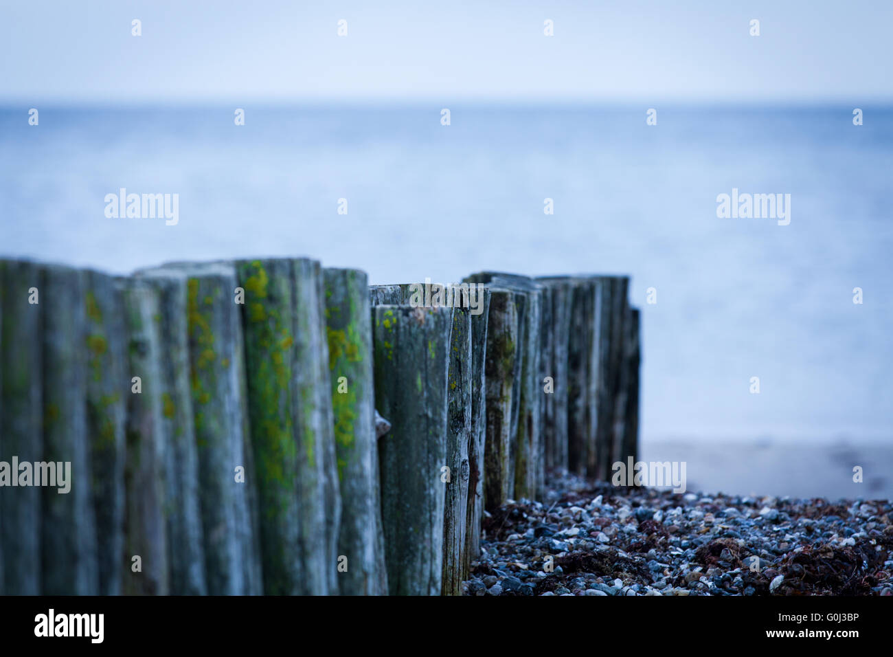 baltic sea background evening wooden wave breaker beach Stock Photo - Alamy