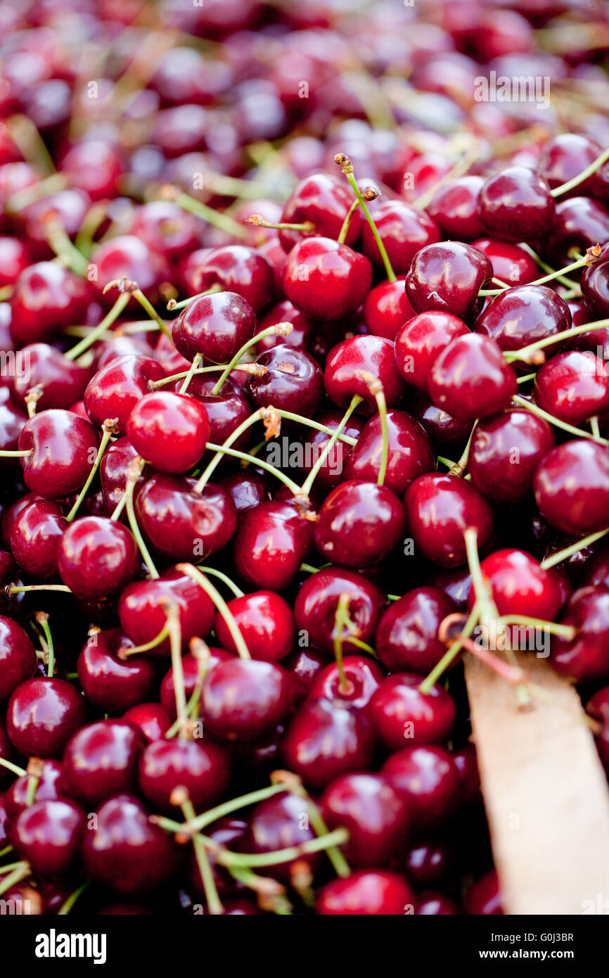sweet red cherry closeup macro on market outdoor Stock Photo - Alamy