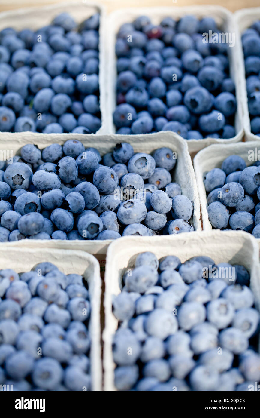 healthy fresh blueberries macro closeup on market outdoor Stock Photo ...