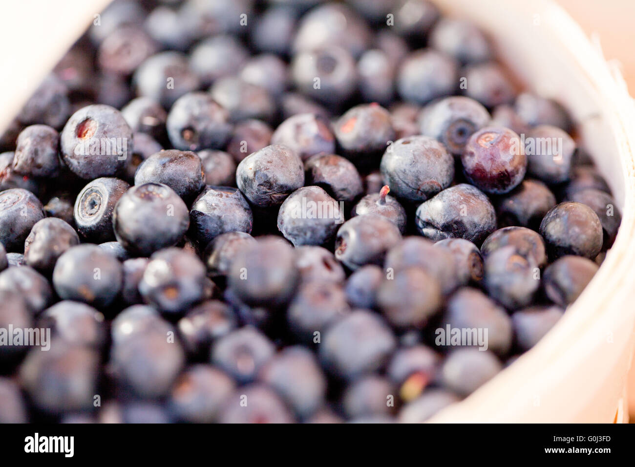 healthy fresh blueberries macro closeup on market outdoor Stock Photo ...