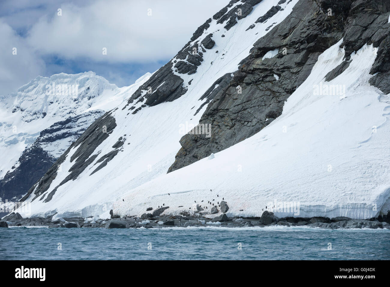Landscape view of Point Wild beach where Shackleton's men camped ...