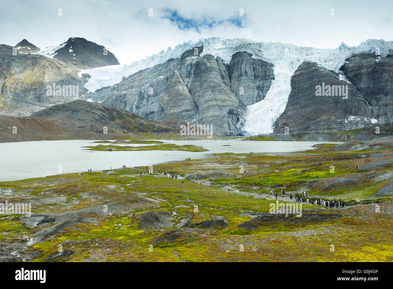 Landscape view of glaciers, mountains and breeding penguin colonies ...