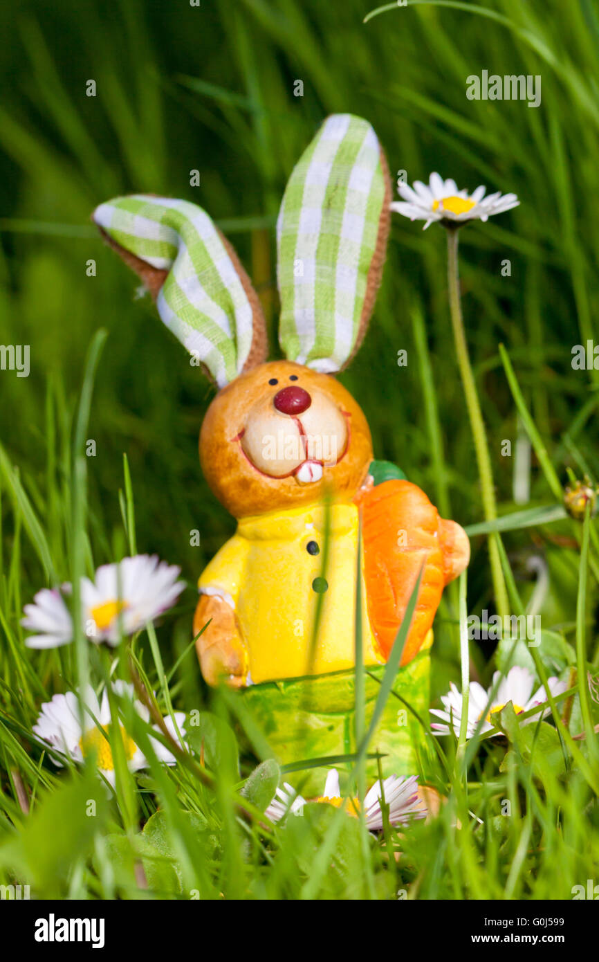 Spring bunny flower hi-res stock photography and images - Alamy