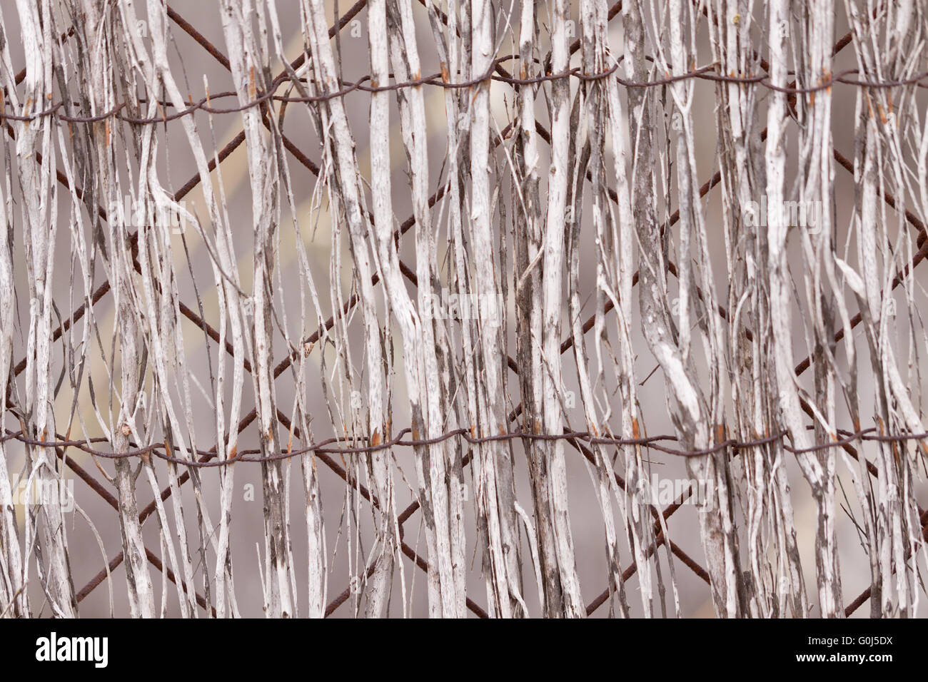 natural background texture material outdoor Stock Photo - Alamy