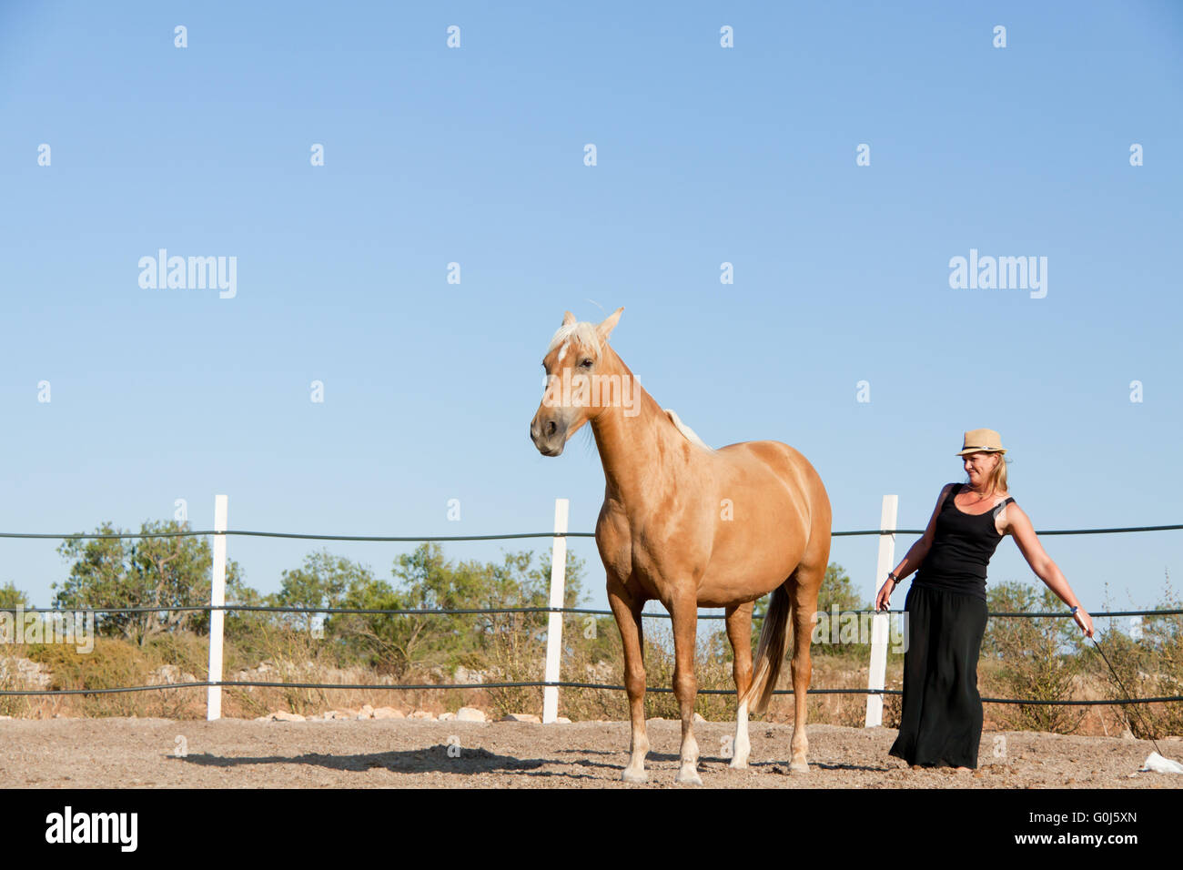 Girl training her horse hi-res stock photography and images - Alamy
