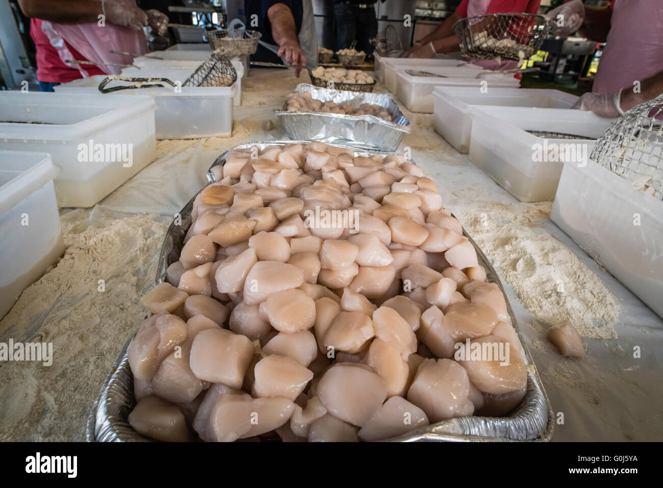 Cape Cod seafood scallop festival Stock Photo - Alamy
