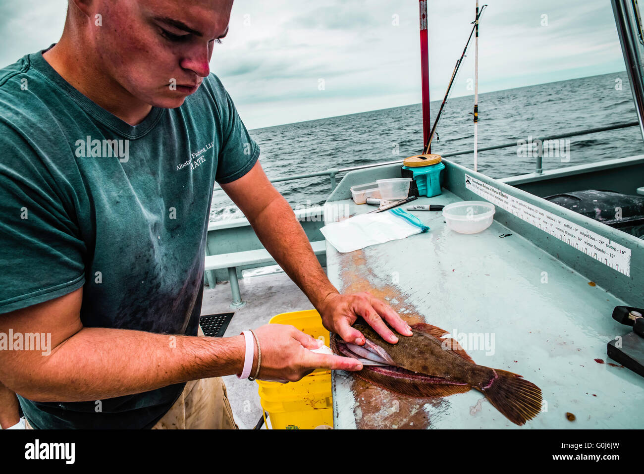 Cape Cod Massachusetts Holiday vacation area Stock Photo - Alamy