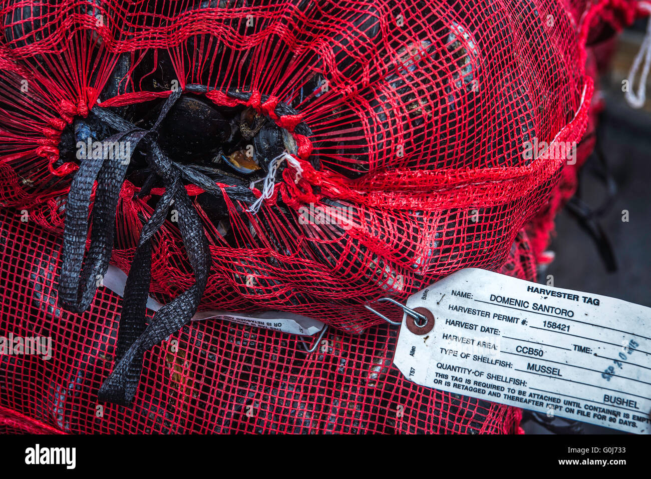 Cape Cod Massachusetts Holiday vacation area Stock Photo - Alamy