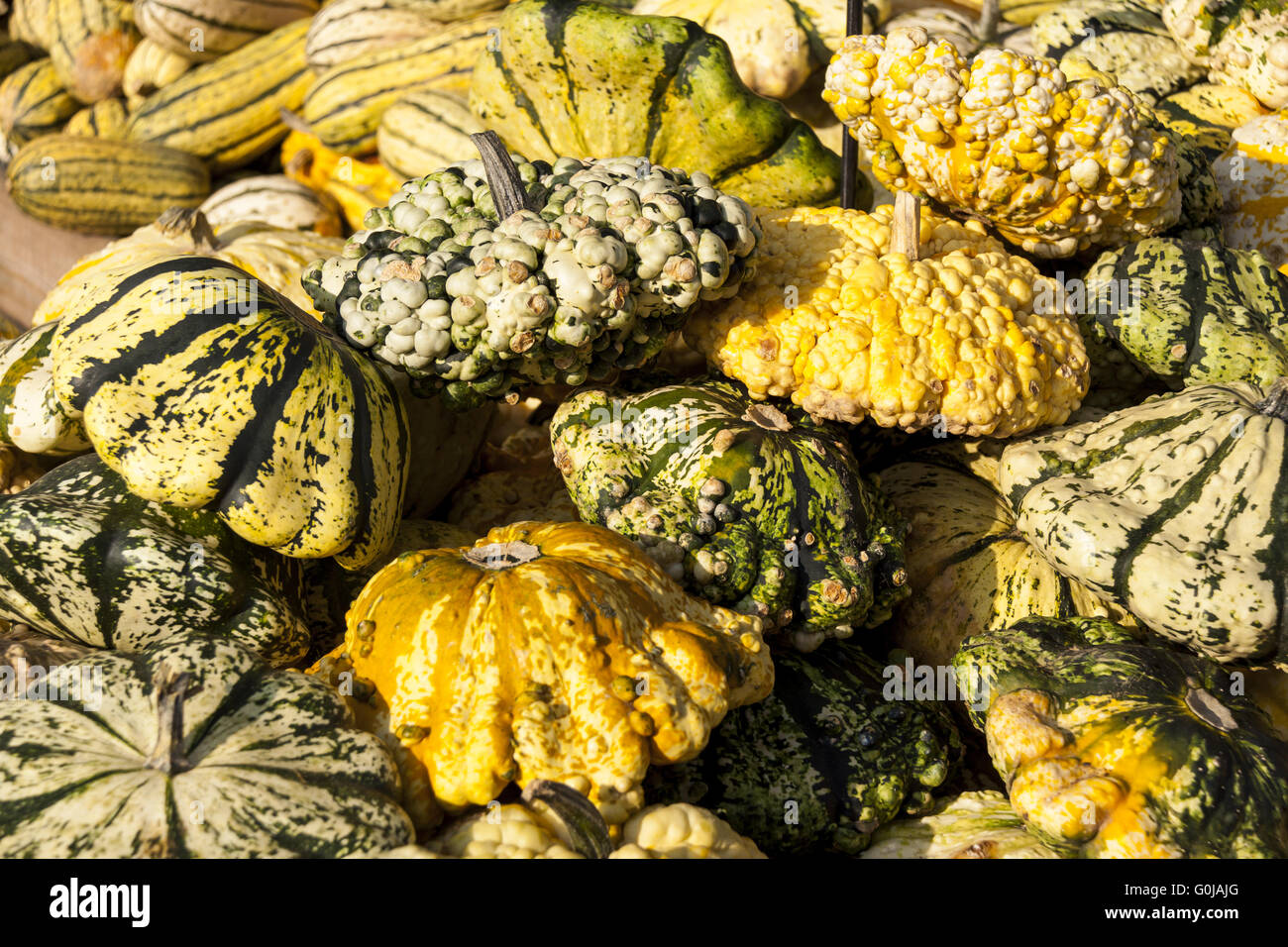 Gewarzter patission hi-res stock photography and images - Alamy