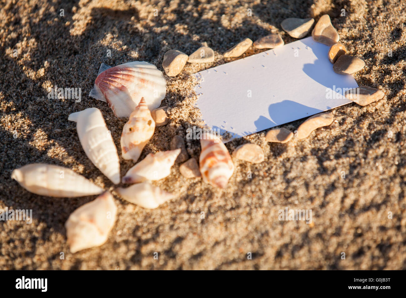 Seashell boat hi-res stock photography and images - Alamy