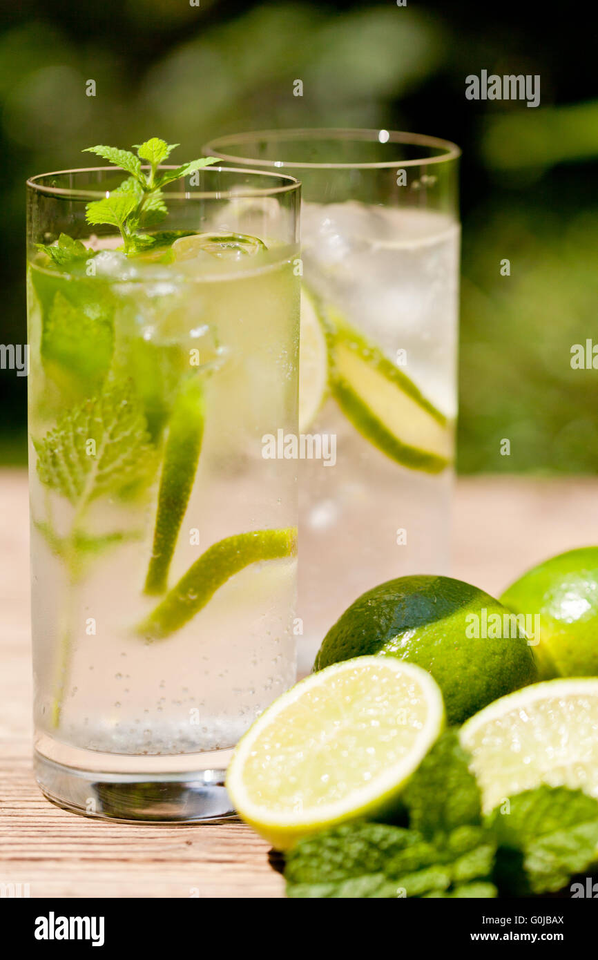 fresh cold refreshment drink mineral water soda with lime and mint ...