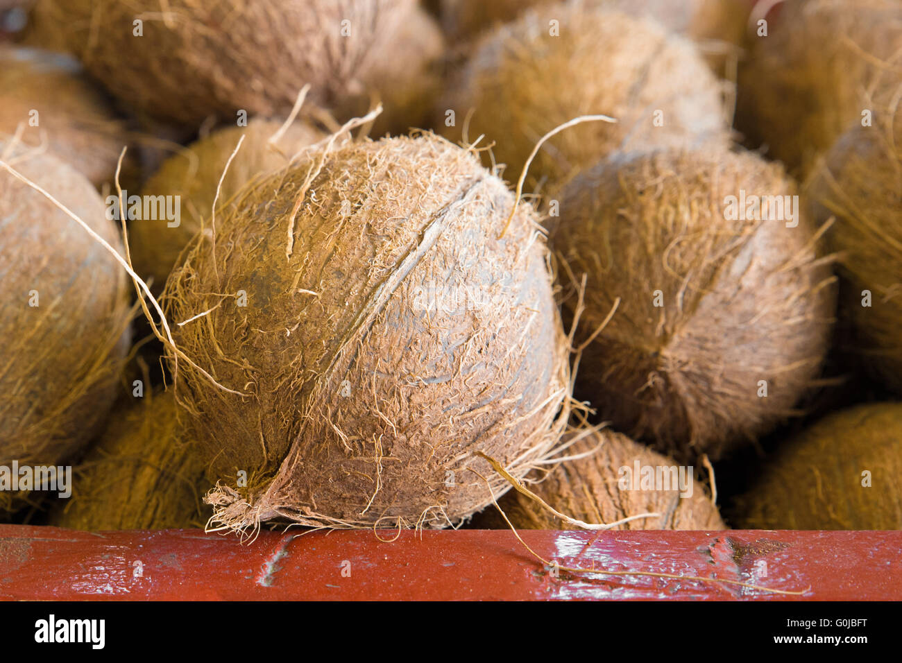 Tropical coconuts hi-res stock photography and images - Alamy