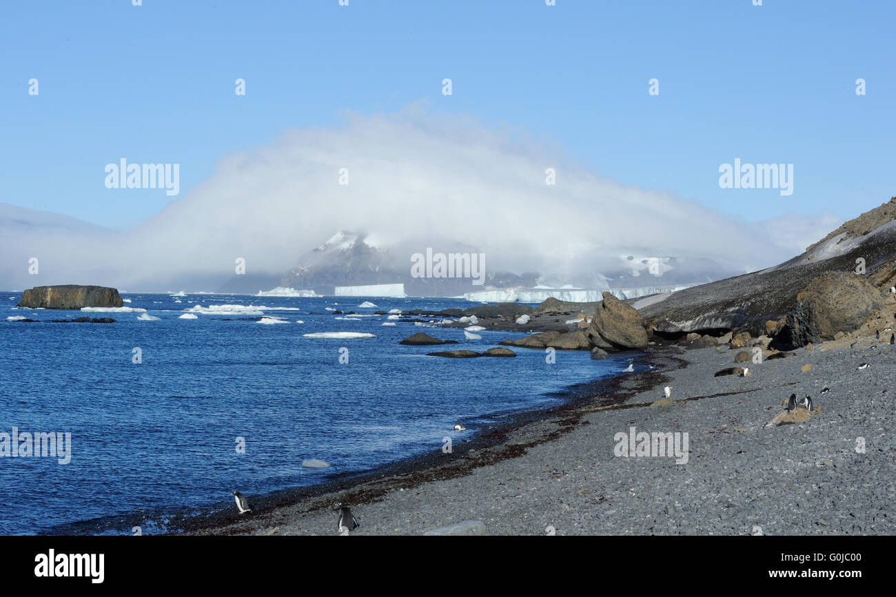 Brown bluff beach antarctica hi-res stock photography and images - Alamy