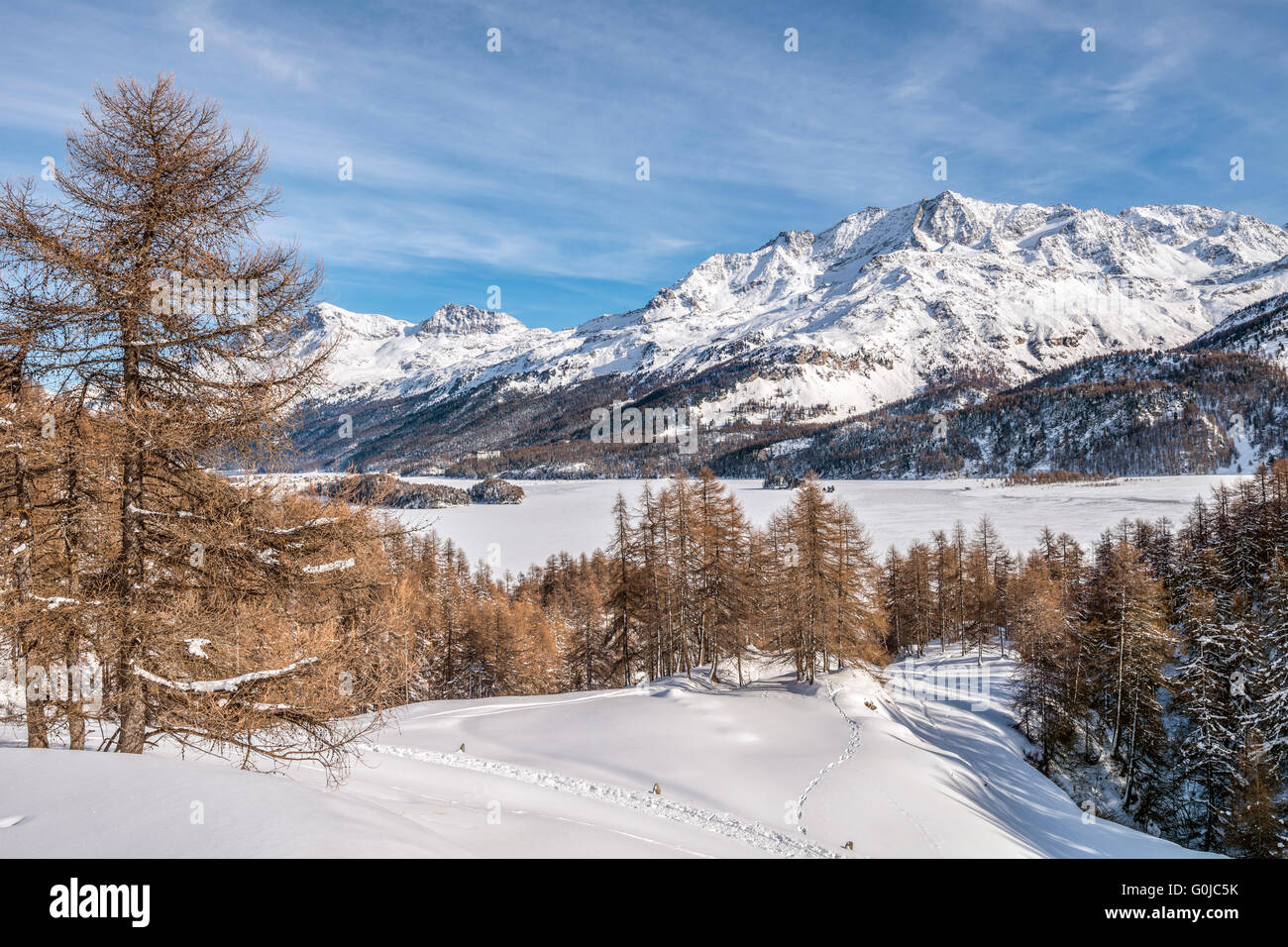 Sils Im Engadin High Resolution Stock Photography and Images - Alamy