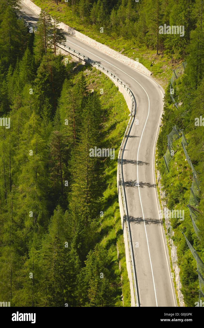 Mountains summer forest driving trees road scenic drive curve hi-res ...