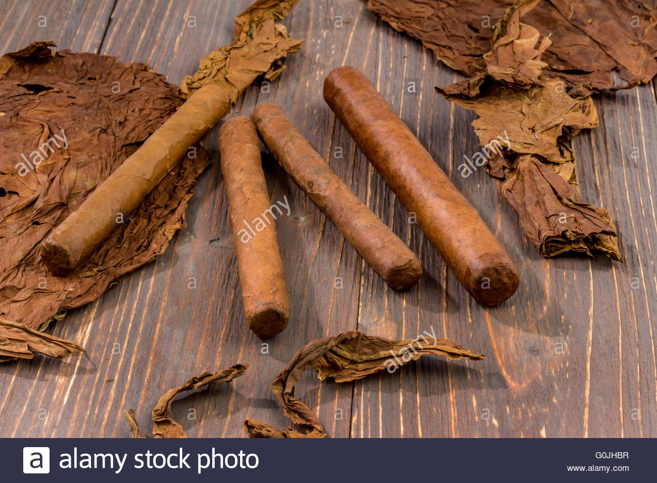 Tobacco Sheets Stock Photos & Tobacco Sheets Stock Images - Alamy