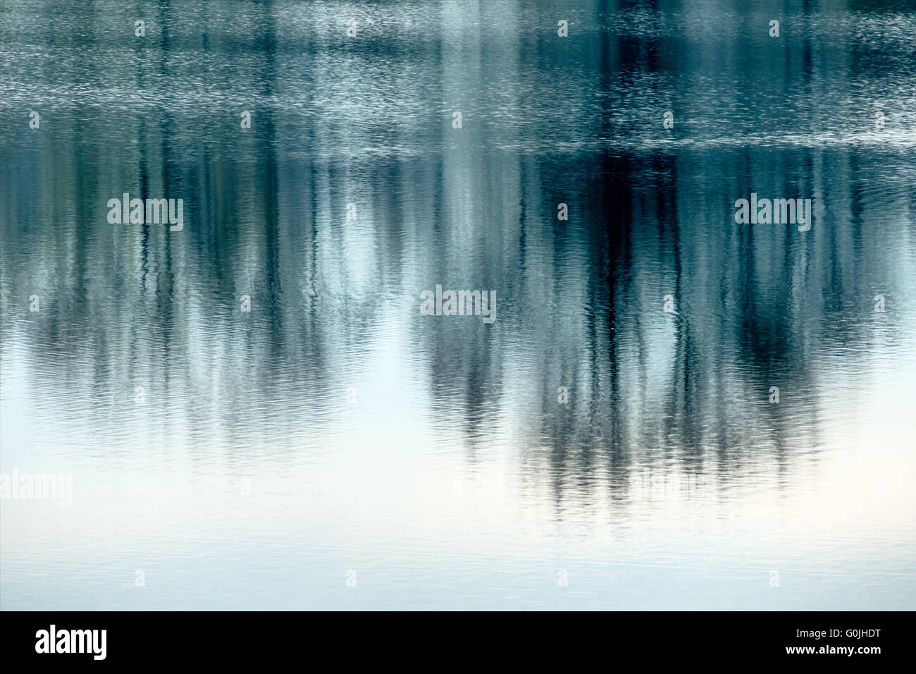 trees reflecting in the water Stock Photo - Alamy