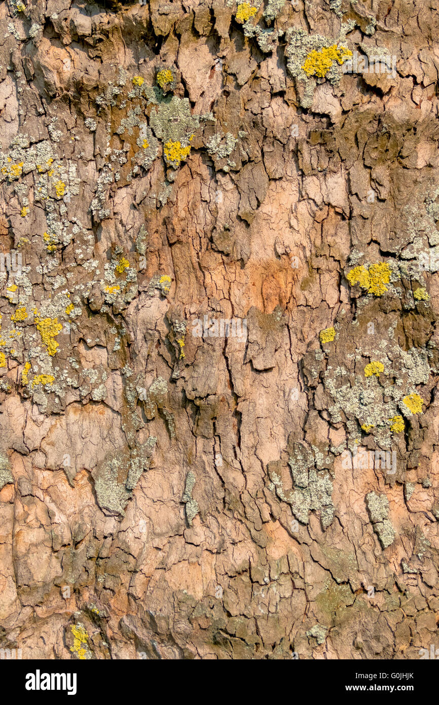 structured surface as background Stock Photo - Alamy