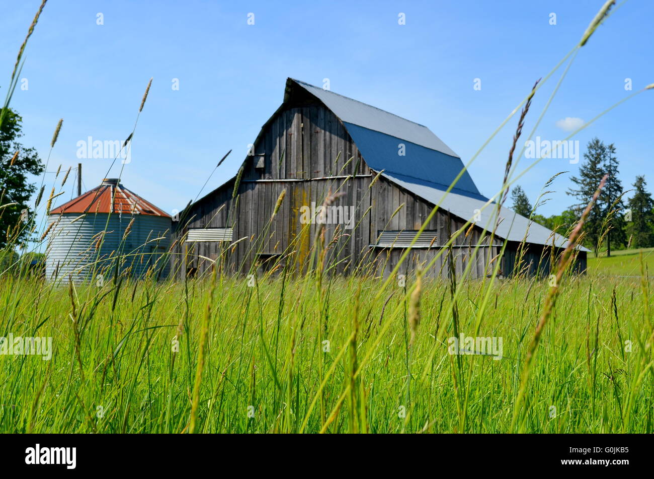Barn in Color Stock Photo - Alamy
